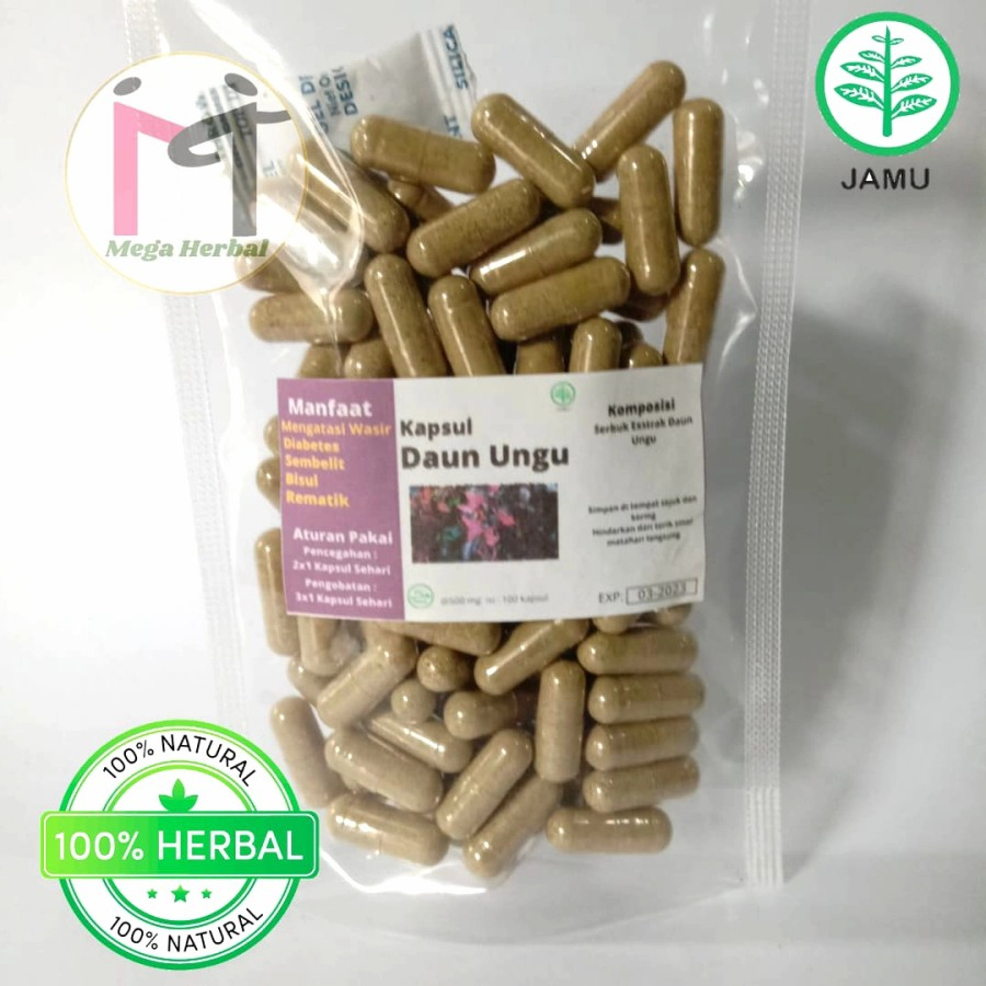 Jual kapsul daun ungu/daun handeuleum isi 100 | Shopee Indonesia