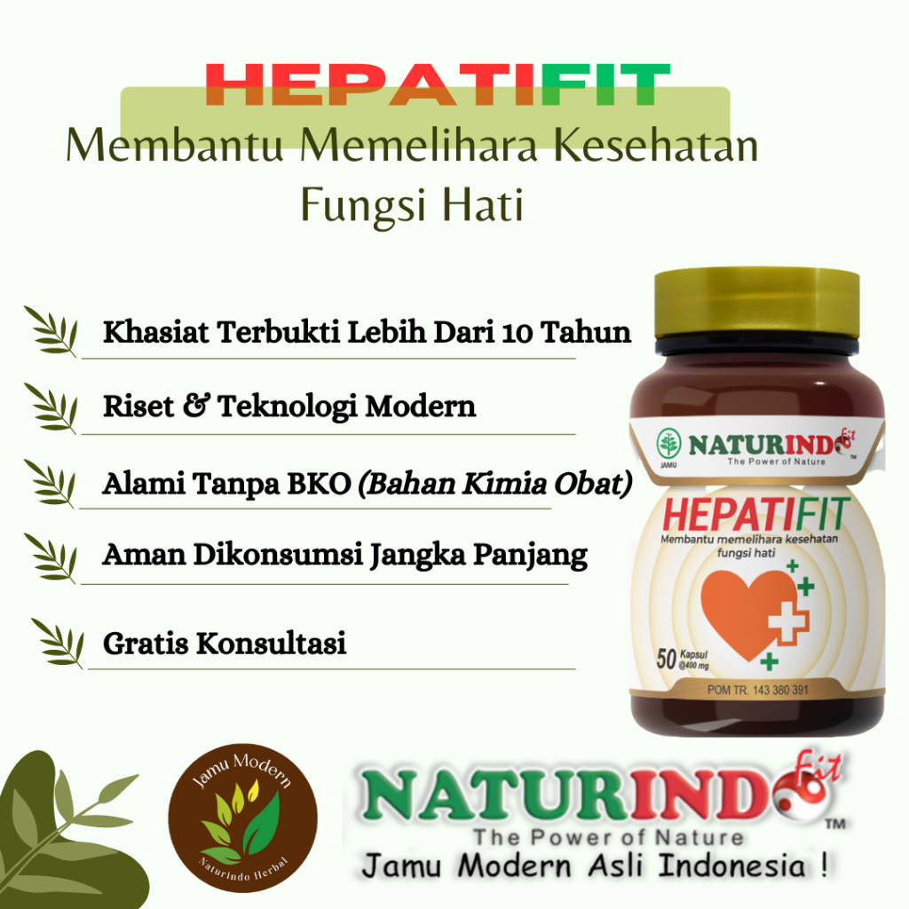Jual Obat Liver Bengkak Herbal Hepatitis A B C Mata Kuning Biduran ...