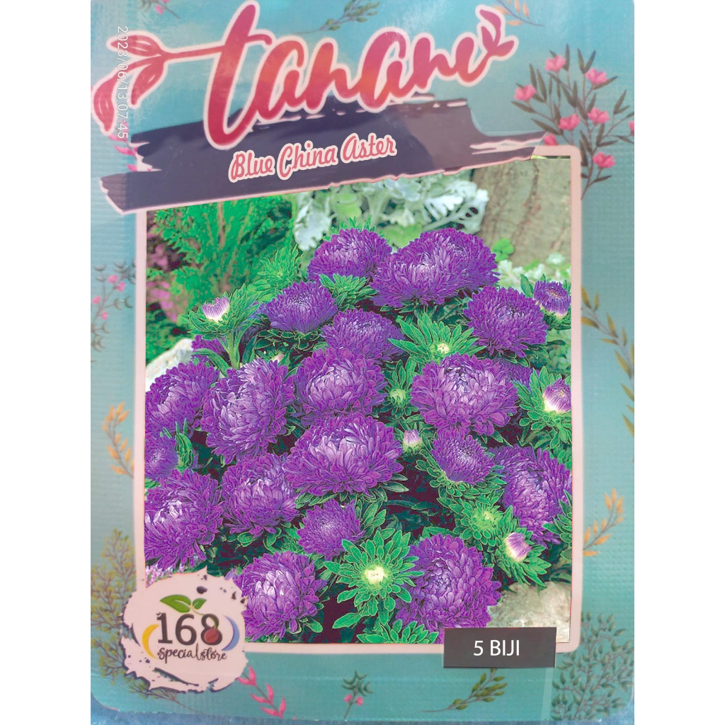 Jual Benih Bunga Blue China Aster (Isi 5 biji) | Shopee Indonesia