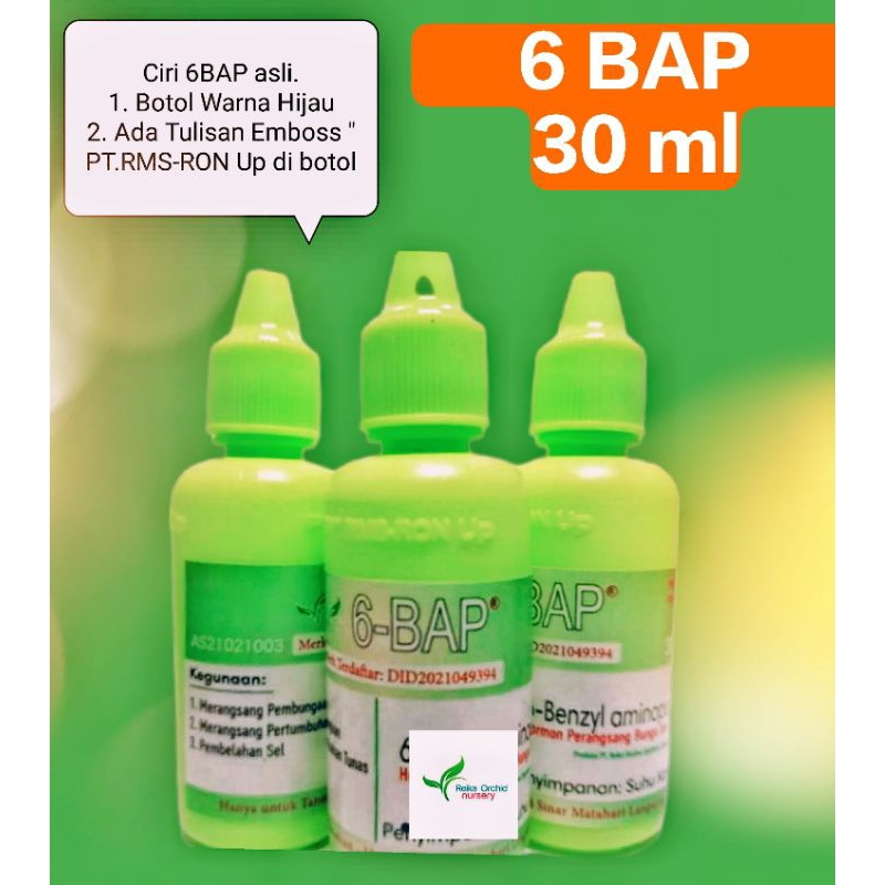 Jual Hormon Tanaman 6 BAP Benzylaminopurine Bud Breaker Perangsang ...