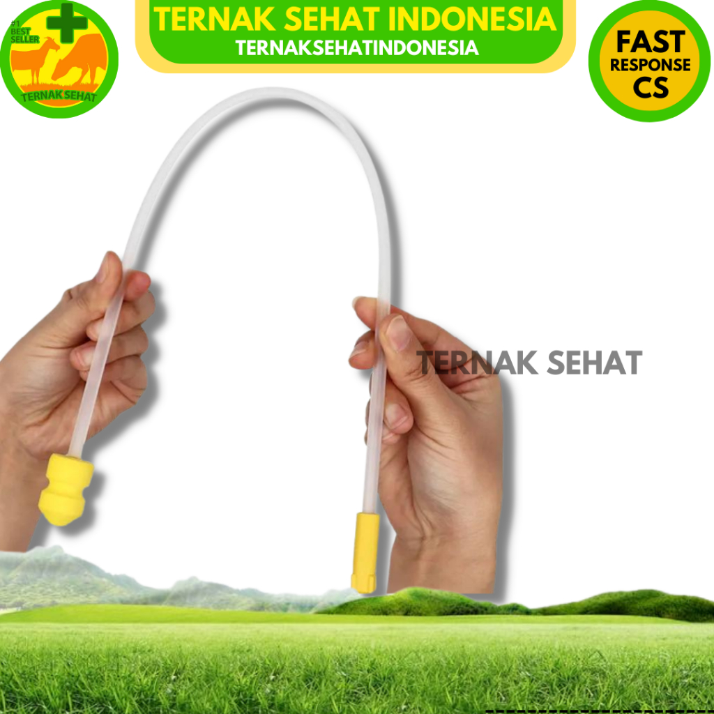 Jual KATETER BABI FOAM - ALAT IB BABI - Katheter babi - Alat Inseminasi ...