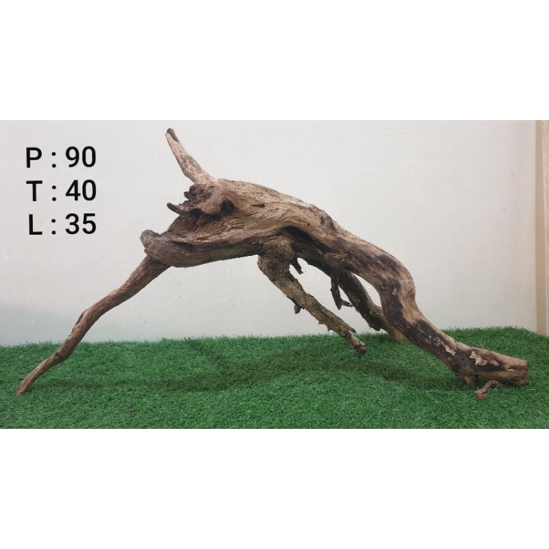 Jual kayu santigi rizz | Shopee Indonesia