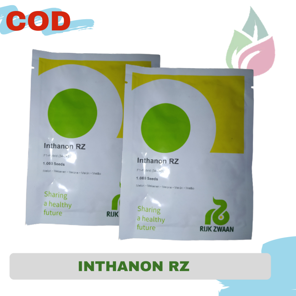 Jual Benih melon RZ inthanon 1000 seed asli kemasan pabrik F1 | Shopee ...