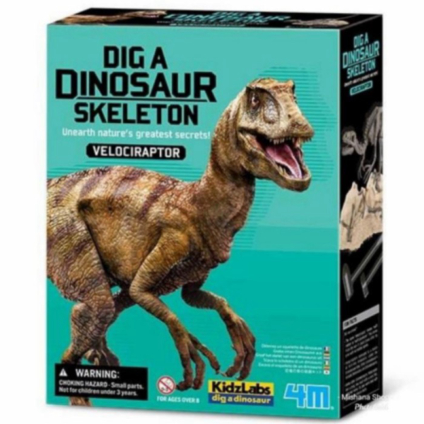Jual Unik Dig A Dinosaur Skeleton 4M Gali Tulang Dino Velociraptor 21 ...