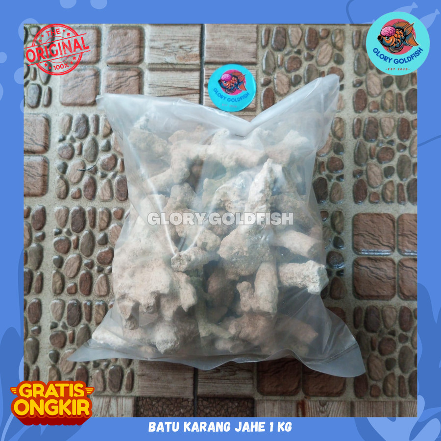 Jual BATU KARANG JAHE 1 KG MEDIA FILTER PENSTABIL PH DEKORASI AQUARIUM ...