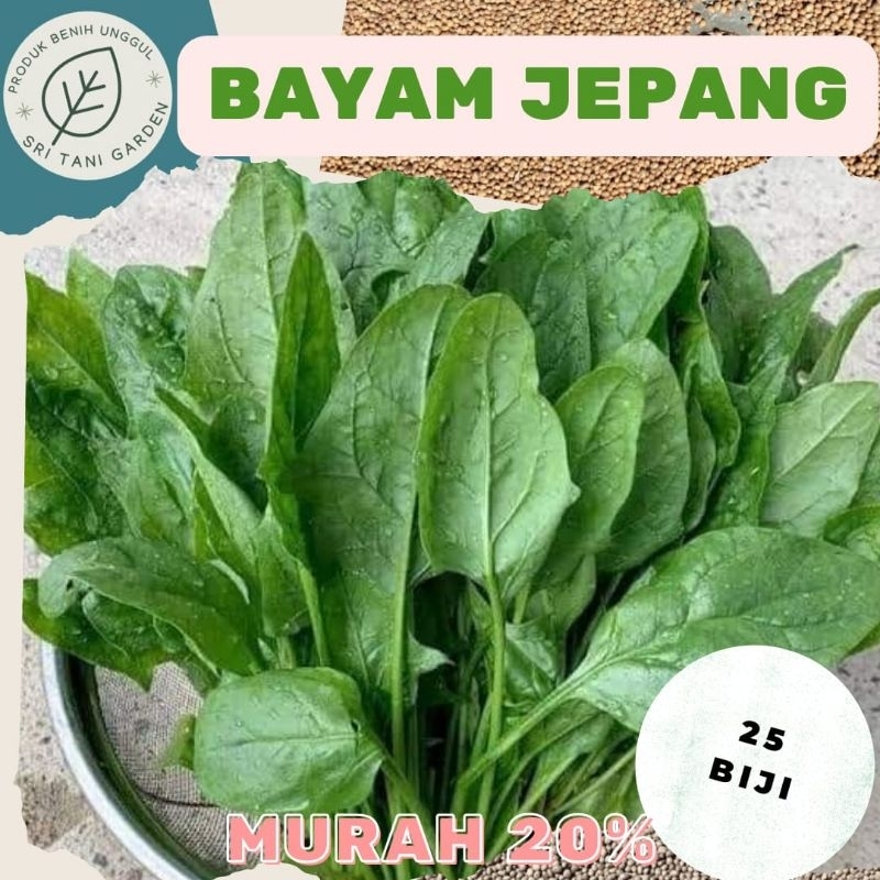 Jual BENIH BAYAM JEPANG 25 BUTIR REPACK | Shopee Indonesia