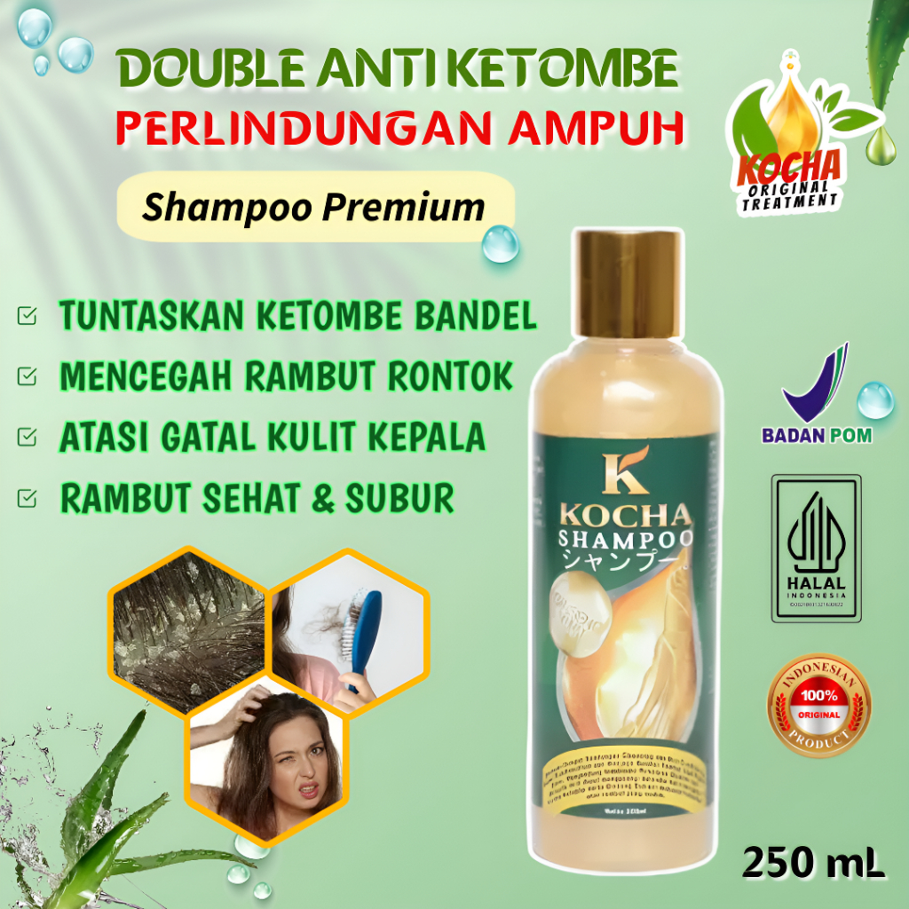 Jual Kocha Obat Shampoo Anti Ketombe Basah Dan Rambut Rontok Parah Paling Ampuh Sampo Ginseng ...