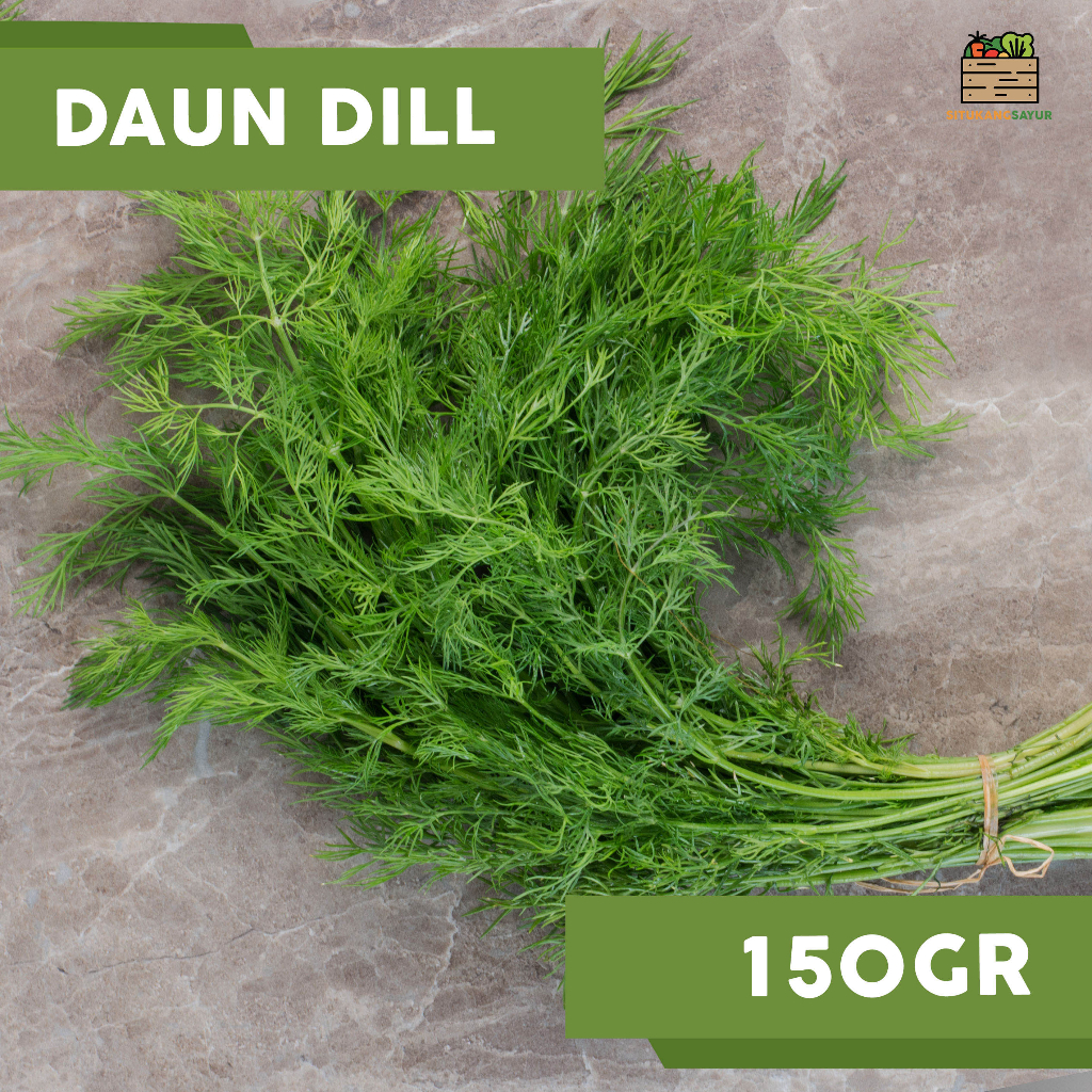 Jual Daun Dill | 150gr (Kota Bandung & Sekitar) | Shopee Indonesia