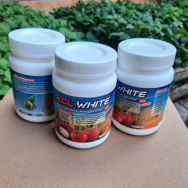 Jual Pupuk KCL White 500gram | Shopee Indonesia