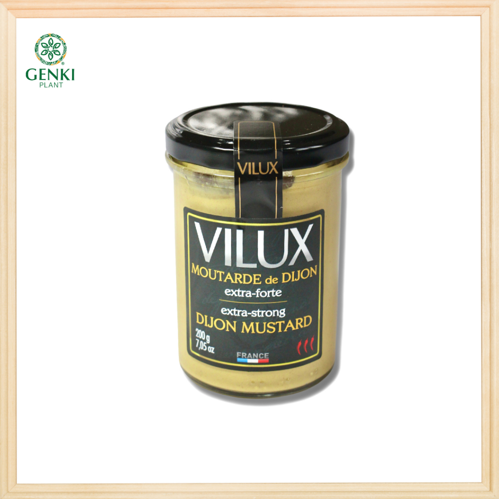 Jual Vilux Extra Strong Dijon Mustard - 200 g | Shopee Indonesia