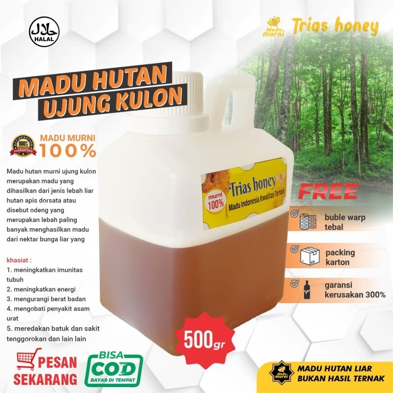 Jual Madu Murni Hutan Ujung kulon,Madu Mentah lebah Apis Dorsata/Madu ...