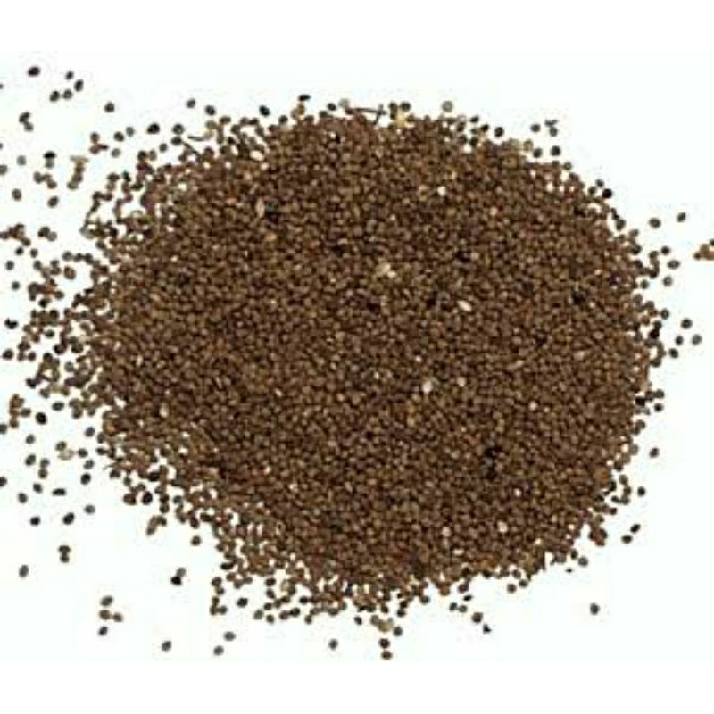 Jual 100gr 菟丝子 Tu Si Zi Cuscuta Chinensis Lam Cuscuta Chinensis Seed ...