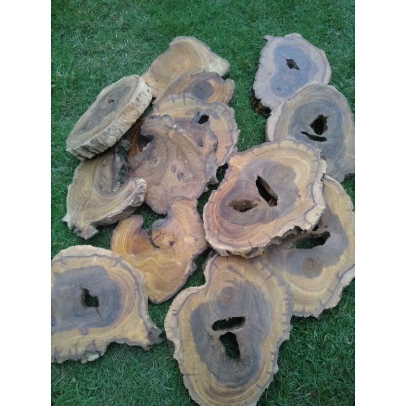 Jual Potongan Kayu / piece of wood / Coaster Kayu / Wood slice / Hiasan ...
