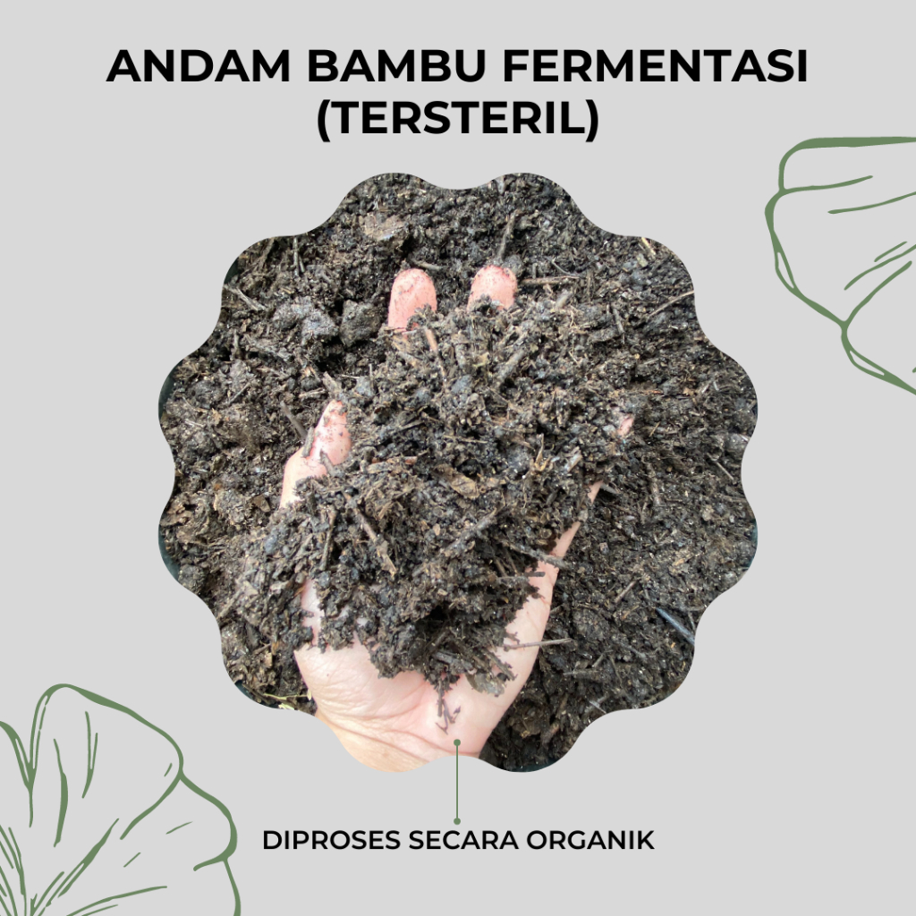 Jual MEDIA TANAM ANDAM BAMBU FERMENTASI (TERSTERIL) | Shopee Indonesia