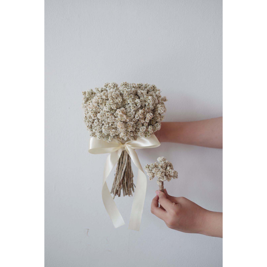 Jual Edelweiss | Hand Bouquet Small - Buket bunga kering edelweiss ...