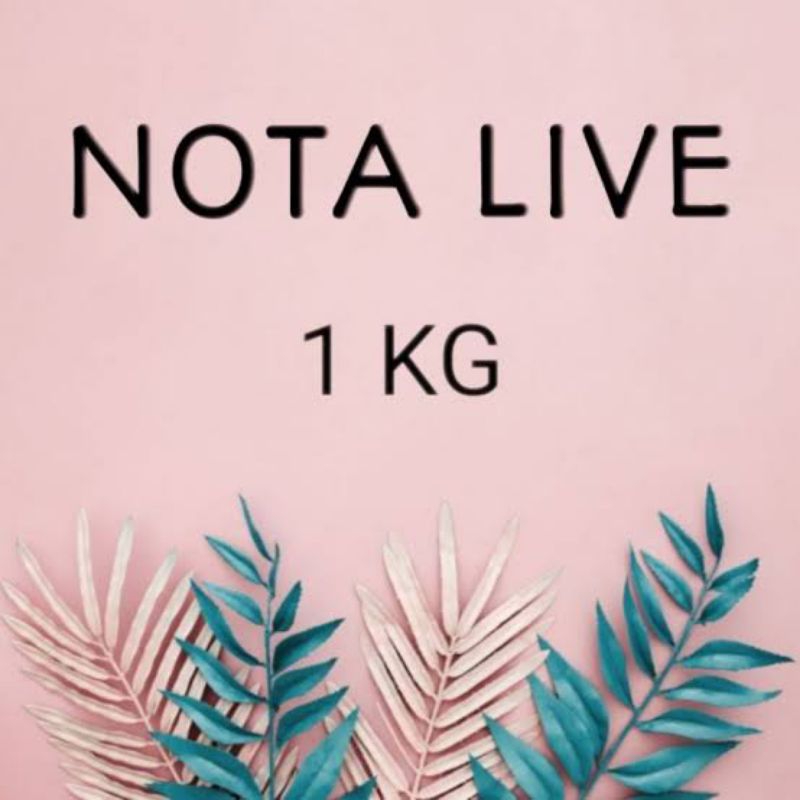 Jual NOTA LIVE 1KG | Shopee Indonesia