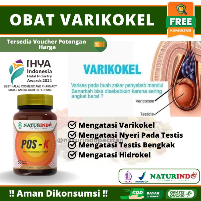 Jual Obat Varikokel Di Buah Zakar Testis Nyeri Bengkak Besar Sebelah ...