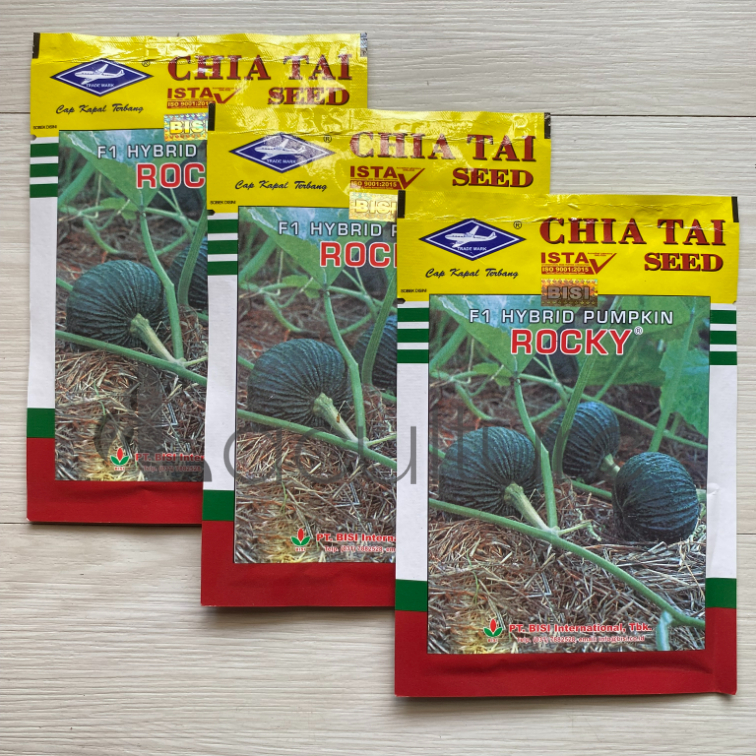 Jual Benih Labu Waluh ROCKY F1 Isi 5 gram Cap Kapal Terbang | Shopee ...