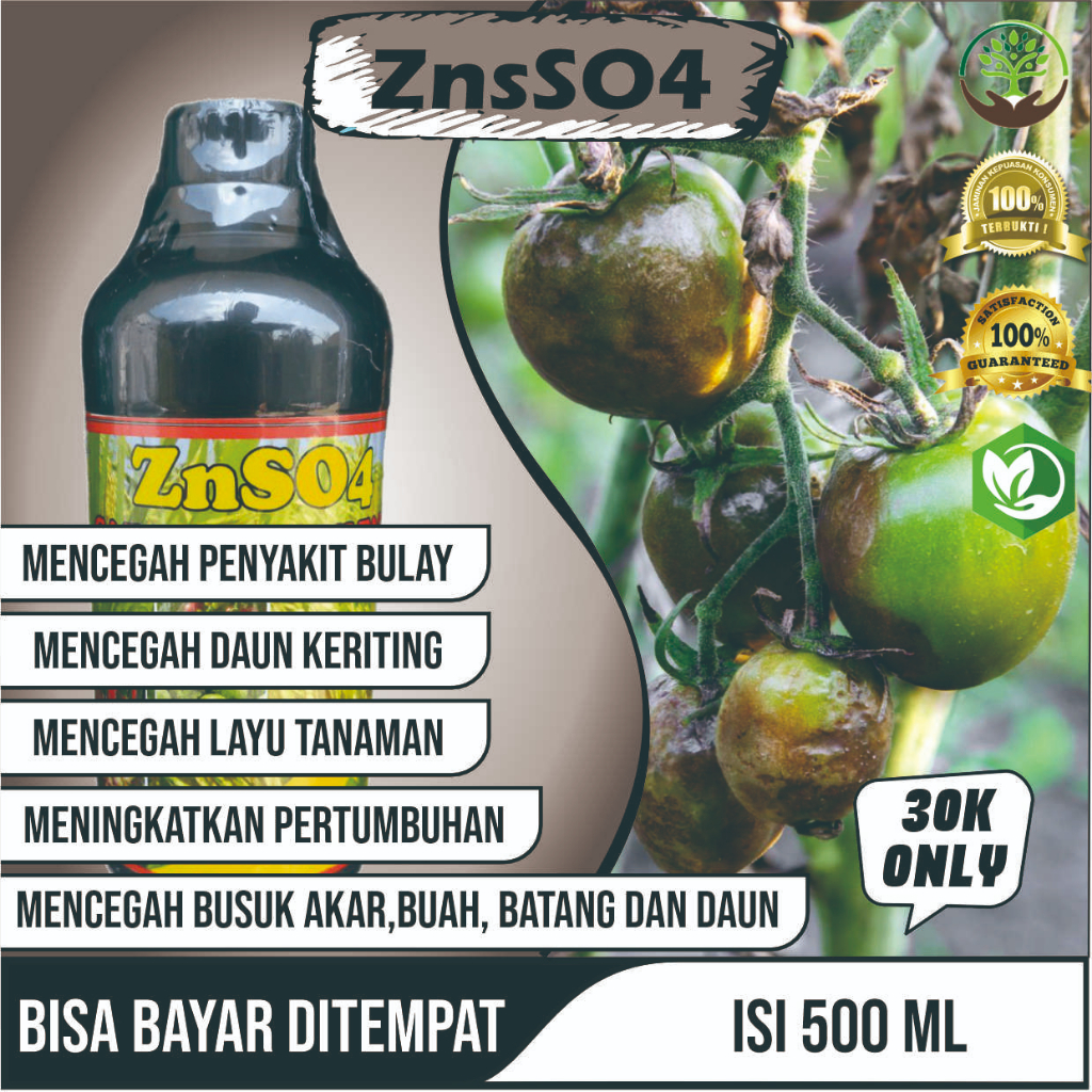 Jual Pupuk Buah Tomat Besar ZnSO4 GAZA ZINK SULFATE Melebatkan Buah ...