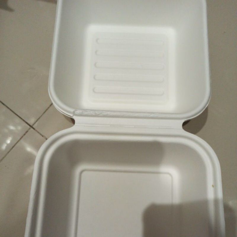 Jual BOX MINI BENTO Cake 5pcs+5pcs SENDOK / Bagasse LUNCH Box / Bento ...