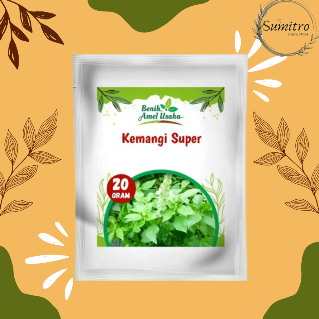 Jual bibit benih sayur kemangi super isi 20 gram / benih kemangi super ...