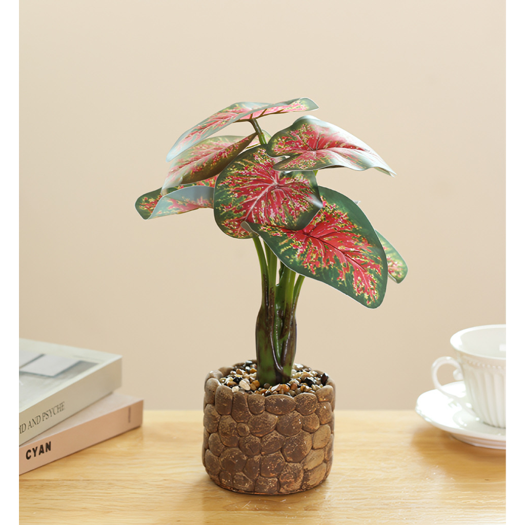 Jual CEILO Tanaman Aglonema Artificial Premium | Tanaman Dekorasi ...