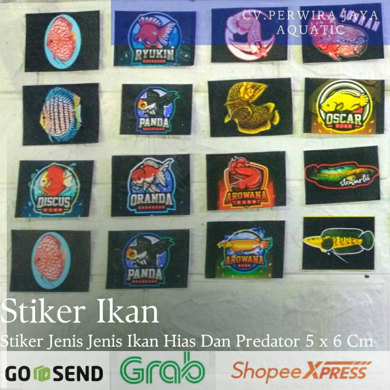 Jual Stiker Jenis Jenis Ikan Hias Dan Predator | Shopee Indonesia