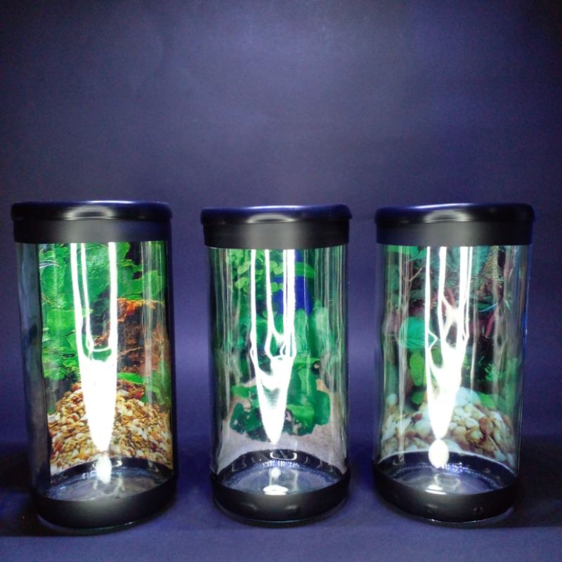 Jual Aquarium mini/ Soliter Cupang/ Soliter mini/ Soliter ikan/ Botol ...