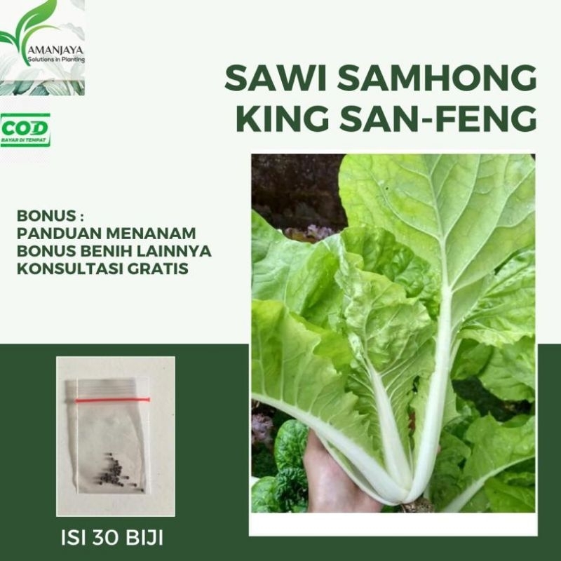 Jual 30 Biji Benih Sawi Samhong King San Feng | Shopee Indonesia