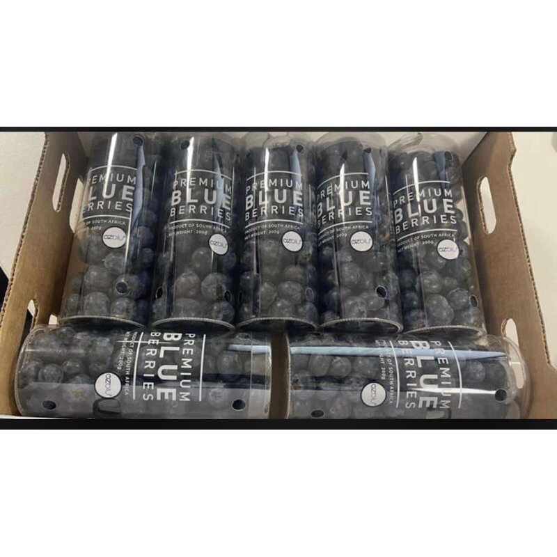 Jual Blueberry Tube /Tube (Origin : Afrika) 200gr x 7Tube | Shopee ...