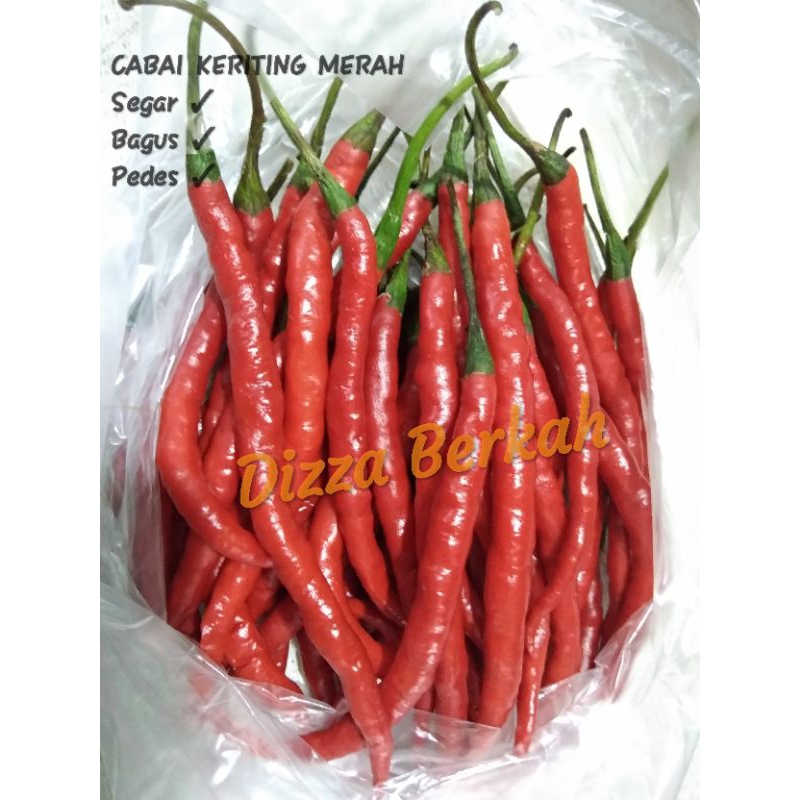 Jual Cabai Keriting Merah/Cabe Keriting Merah/100gr/Fresh/Bagus/Pilihan ...