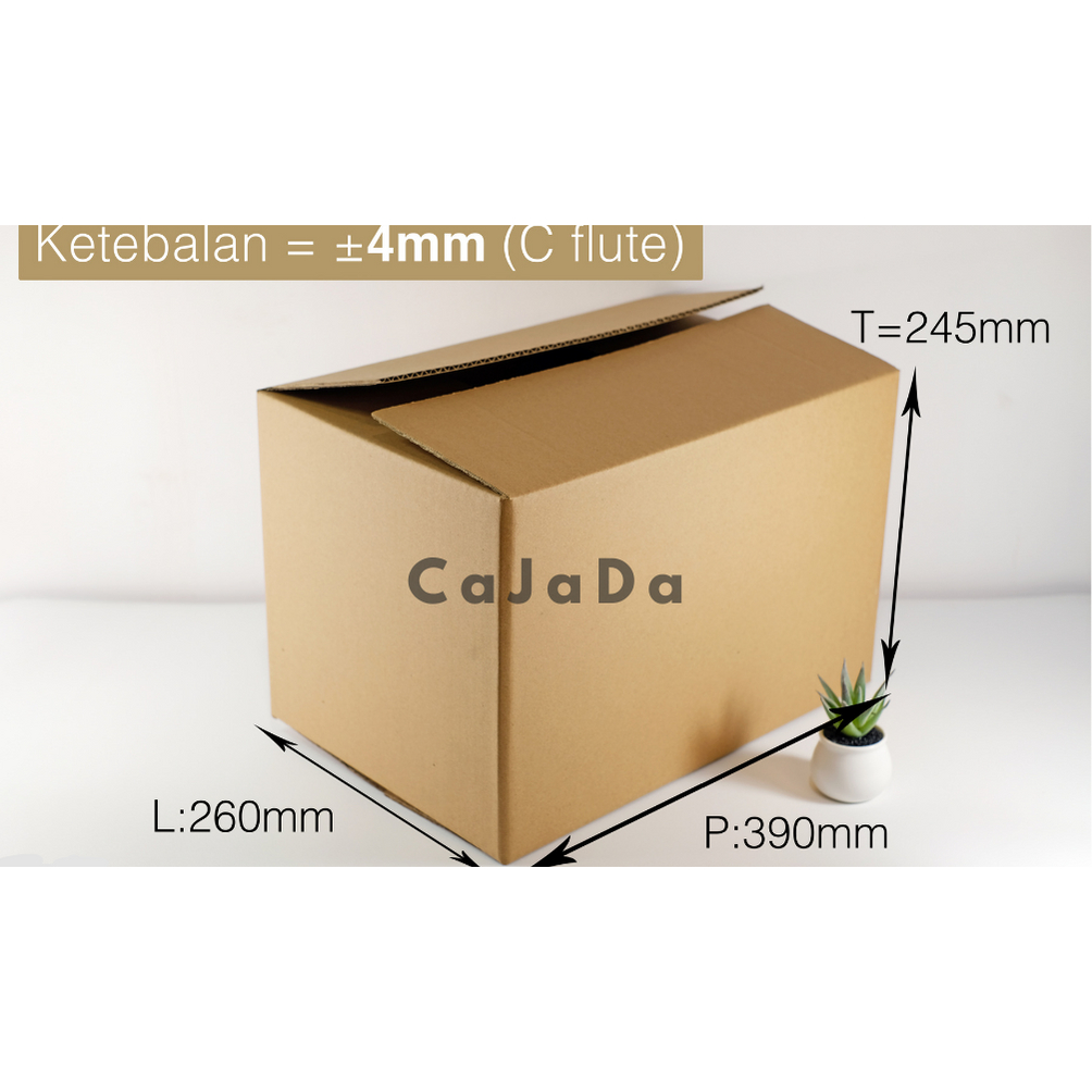 Jual (5 pcs) Kardus Baru 39x26x24,5 cm Box Dus Coklat Packing Polos ...