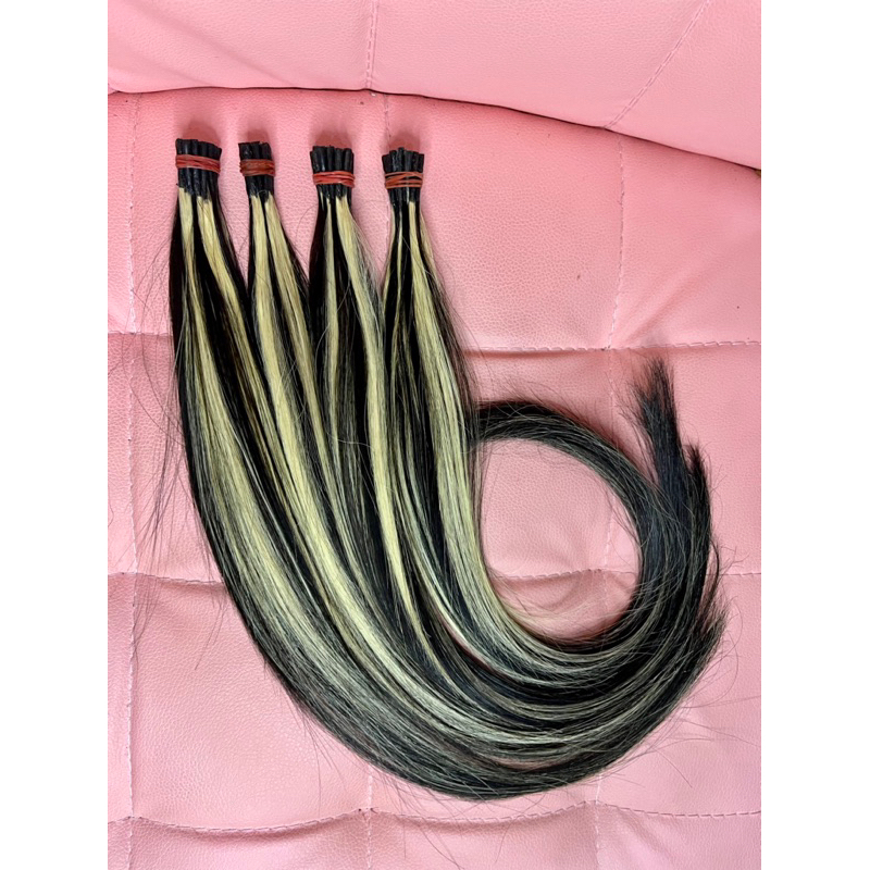 Jual Rambut Sambung Tipe Standar Warna Highlight Panjang 50 cm 1 Helai ...