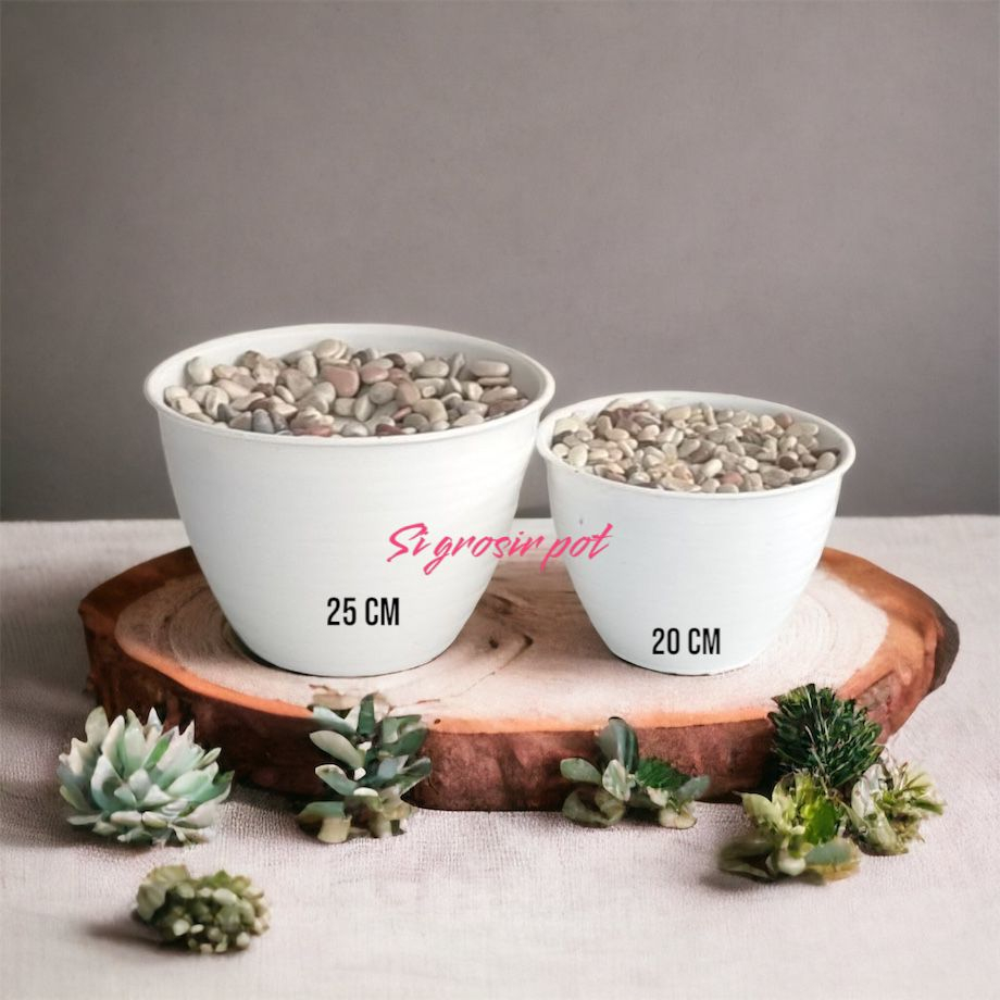 Jual POT TAWON DAN POT PIRUS + BATU ALAM {sg} batu hias dengan pot ...