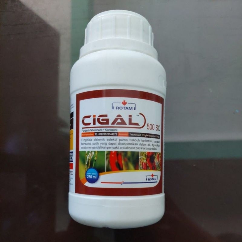 Jual Fungisida CIGAL 500 SC bahan aktif tebukonazol + klorotalonil ...