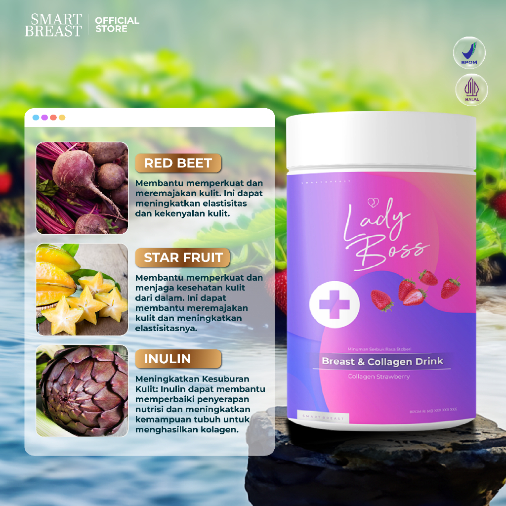 Jual Smart Breast - Lady Boss Breast & Collagen Drink | Shopee Indonesia