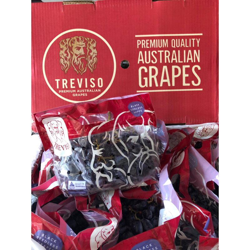 Jual Anggur Australian Grapes Treviso per kg | Shopee Indonesia