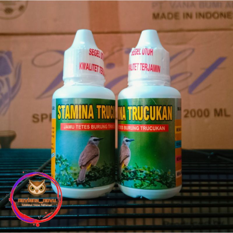 Jual STAMINA TRUCUKAN JAMU TETES BURUNG TRUCUK CROCOK KICAU | Shopee ...