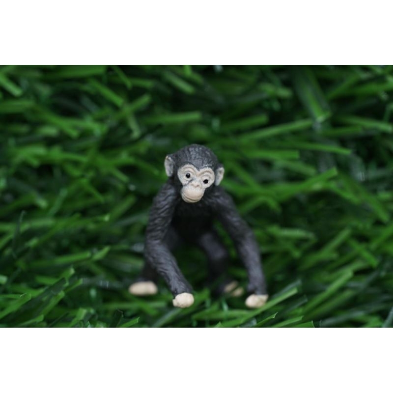 Jual Archie Mcphee Tiny Monkey Figure Pajangan Koleksi | Shopee Indonesia