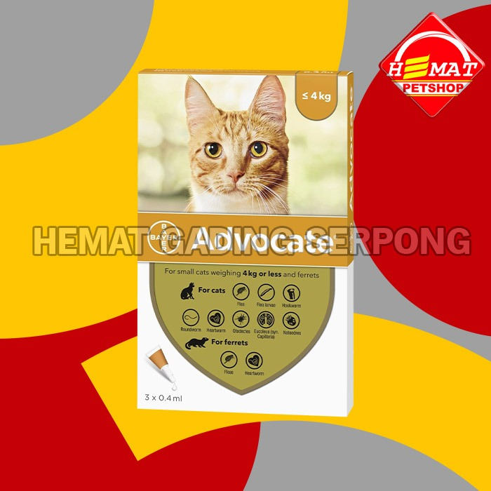 Jual Obat Tetes Kutu Cacing Tungau Flea Scabies Kucing Advocate 0 – 4 ...