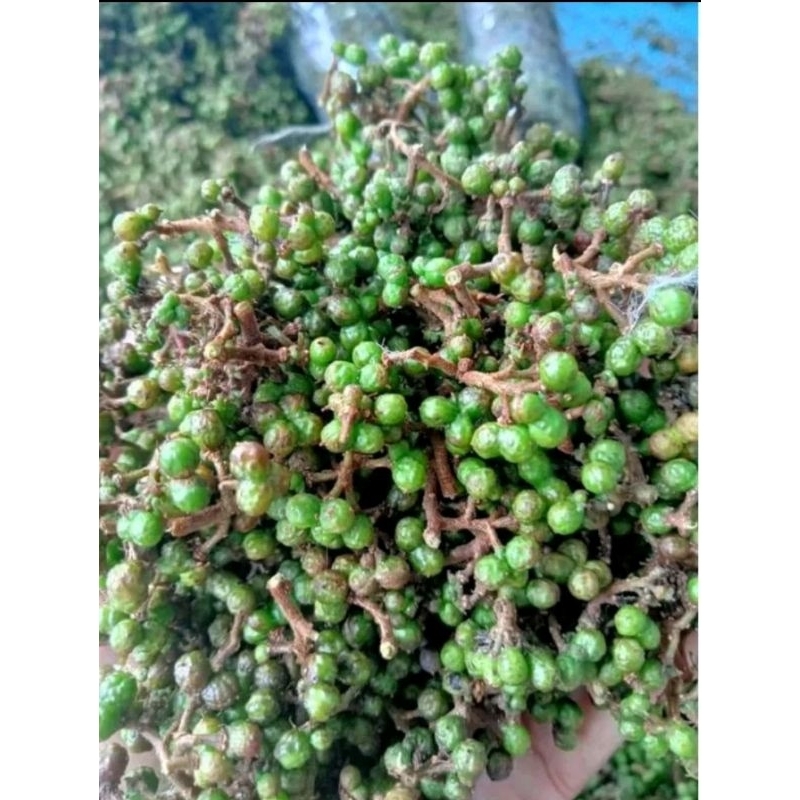 Jual Andaliman Segar / Merica Khas Medan / Andaliman | Shopee Indonesia