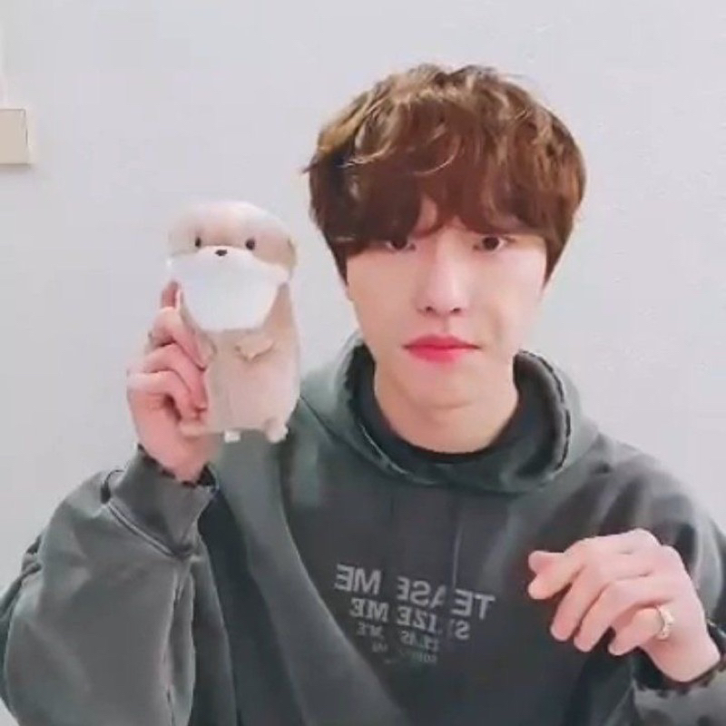 Jual [READY STOCK] DINO CHANDAL OTTER ORIGINAL by AMUSE seventeen svt ...