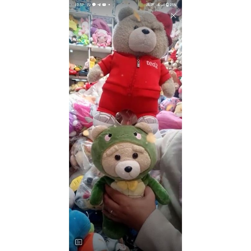 Jual BONEKA GEMOY PO LIVE 1KG | Shopee Indonesia