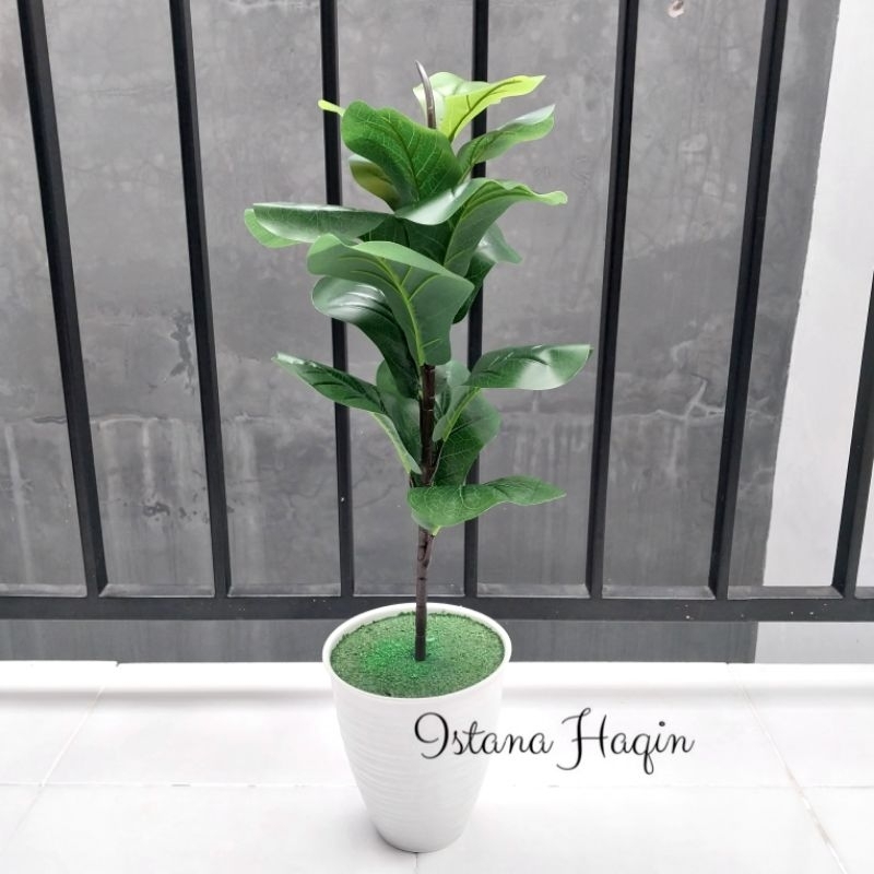 Jual Set Pohon Ketapang Artificial 70cm 80cm PLUS POT | Shopee Indonesia
