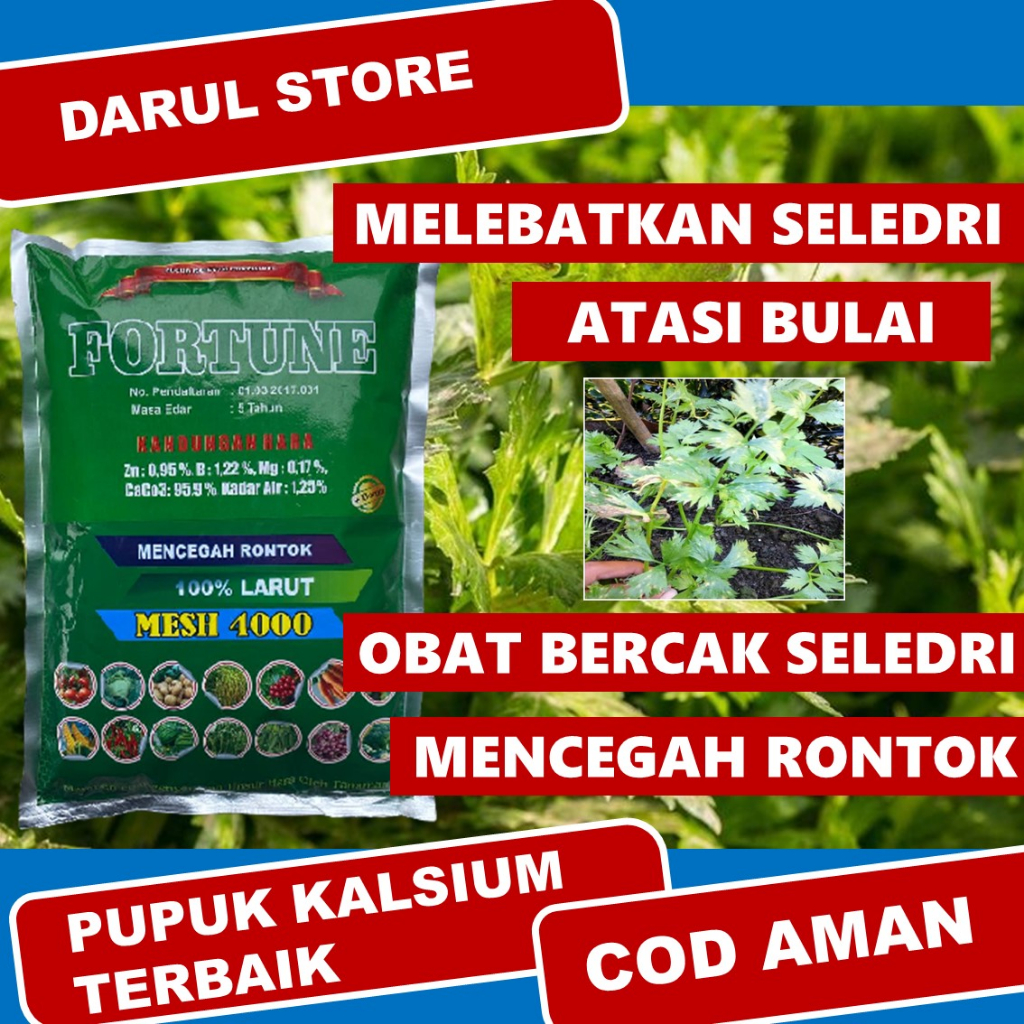 Jual LANGSUNG KIRIM Pupuk Kalsium FORTUNE 1 KG - Obat Busuk Buah ...