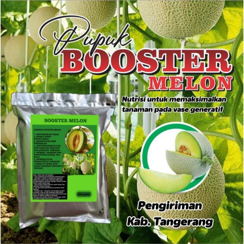 Jual Pupuk Booster Melon perangsang bunga dan pelebat buah anti rontok 250 gram | Shopee Indonesia