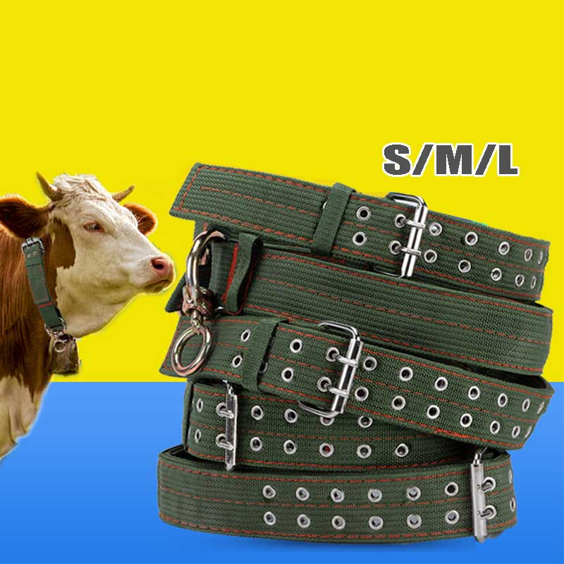 Jual Tali Tuntun Kerah Sabuk Untuk Sapi Kuda Kambing Domba Lama Kalung ...