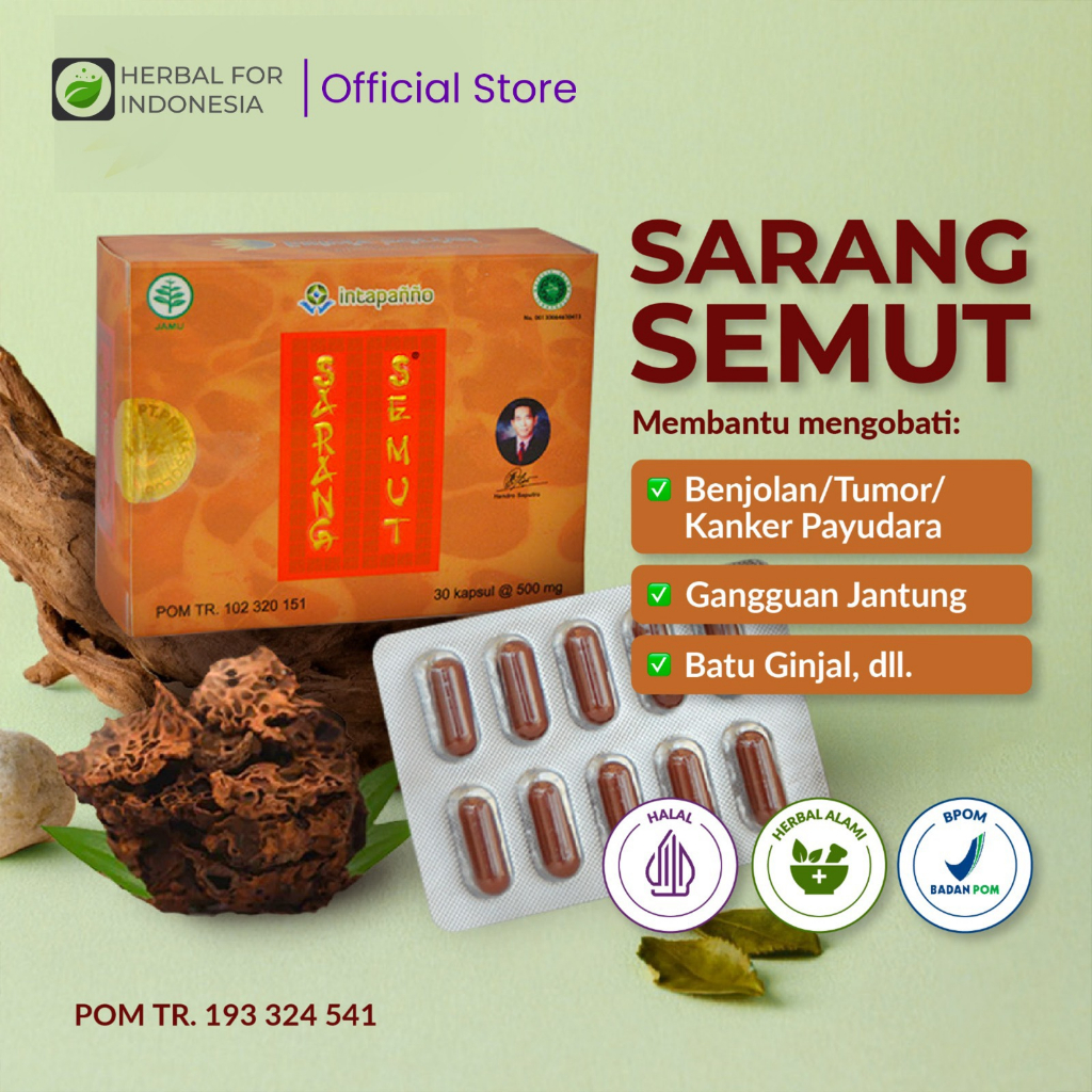 Jual Sarang Semut Obat Herbal Kanker Tumor 30 Kapsul Jamu Tradisional ... Jual Sarang Semut Obat Herbal Kanker Tumor 30 Kapsul Jamu Tradisional ...
