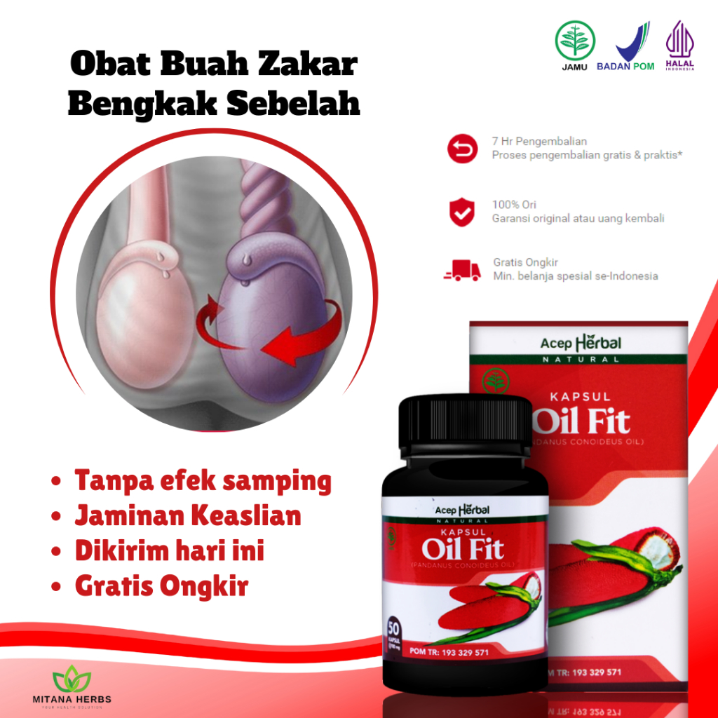 Jual Obat Buah Zakar Bengkak, Obat Varikokel di Buah Zakar, Benjolan Di ... Jual Obat Buah Zakar Bengkak, Obat Varikokel di Buah Zakar, Benjolan Di ...