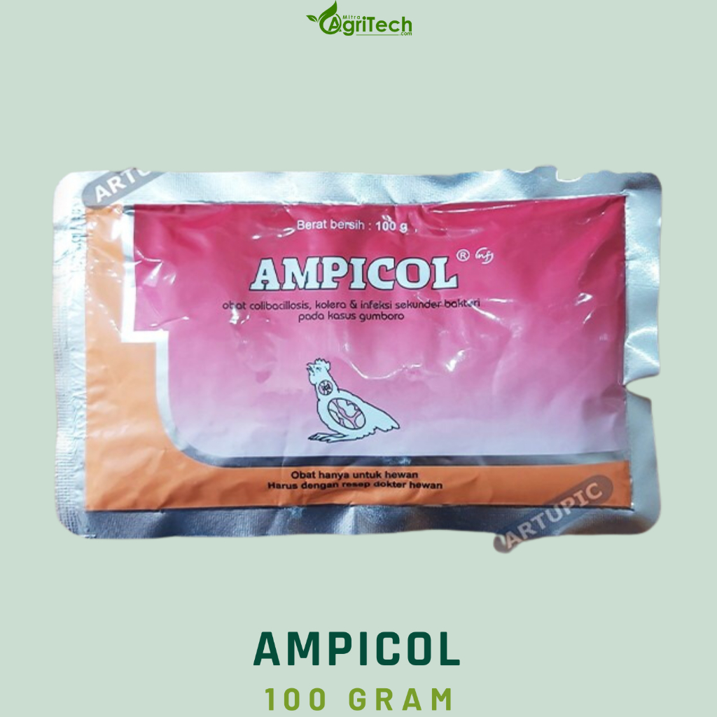 Jual AMPICOL 100 GR OBAT GUMBORO AYAM UNGGAS INFEKSI SEKUNDER BAKTERI ...